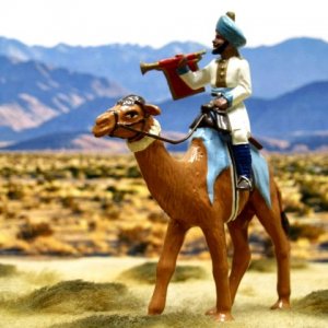 PW 15C Udaipur State Force Buglar | Treefrog Treasures