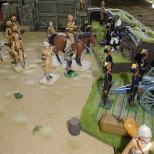 051 | Treefrog Treasures