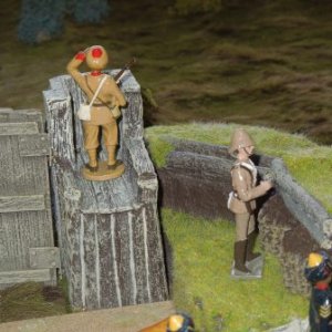 057 | Treefrog Treasures