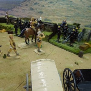 169 | Treefrog Treasures