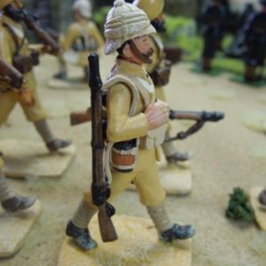 179 | Treefrog Treasures