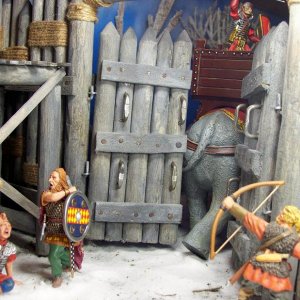 5 | Treefrog Treasures