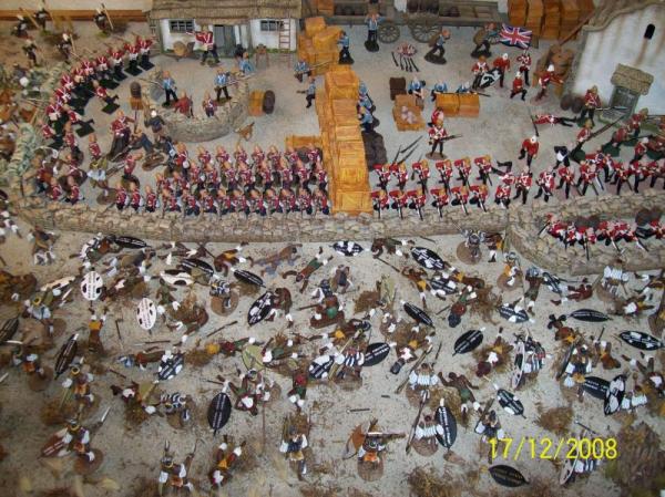 000 0005 01 | Treefrog Treasures