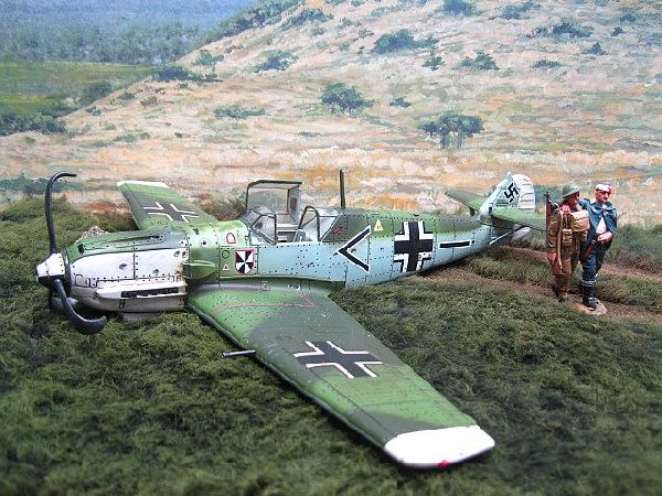 001 | Treefrog Treasures