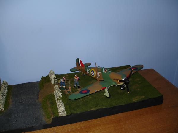 008 | Treefrog Treasures