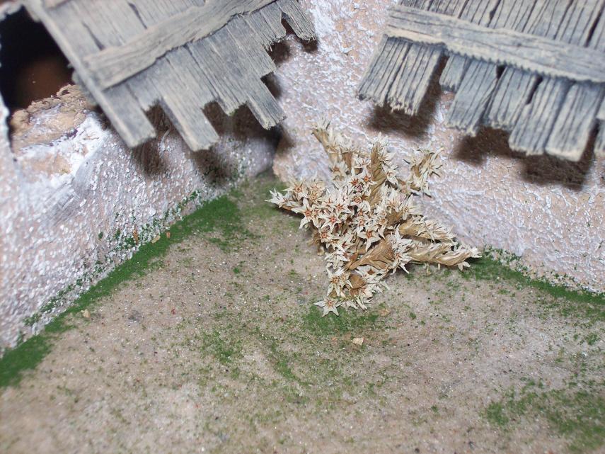 100 0802 01 | Treefrog Treasures