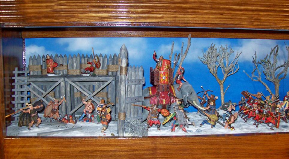 20 | Treefrog Treasures