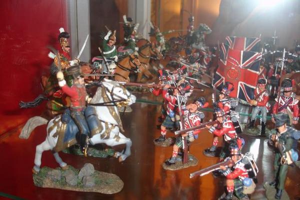 3 | Treefrog Treasures