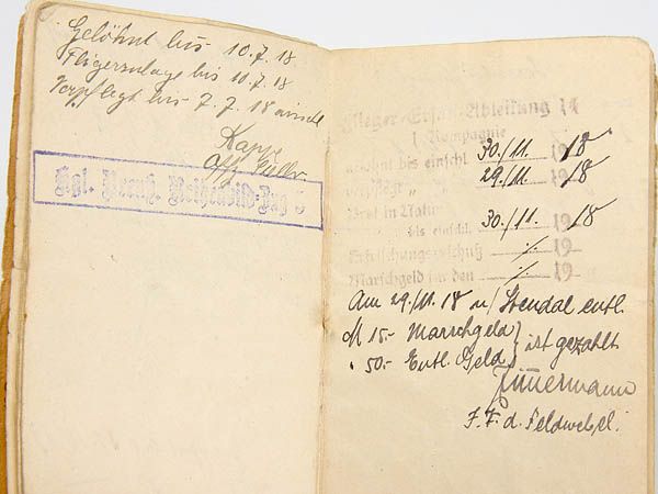 9 | Treefrog Treasures