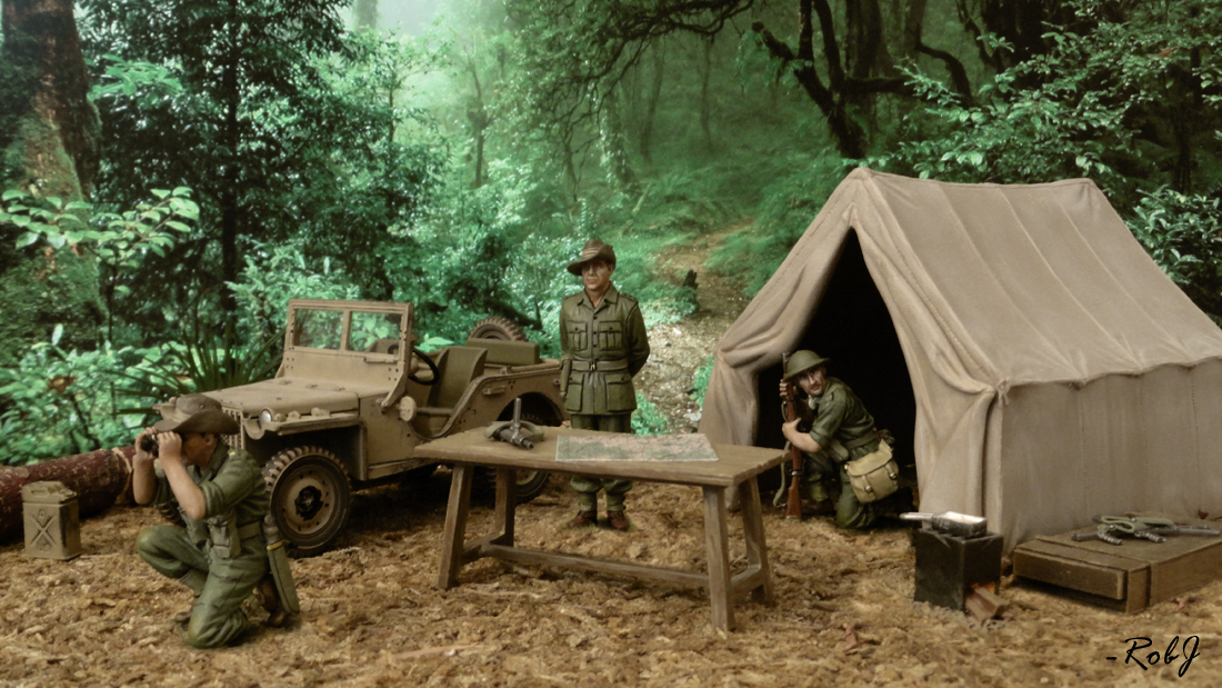 A02 | Treefrog Treasures