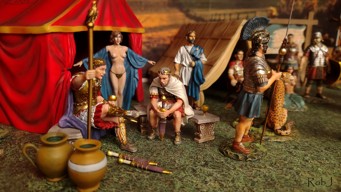 BD03 | Treefrog Treasures