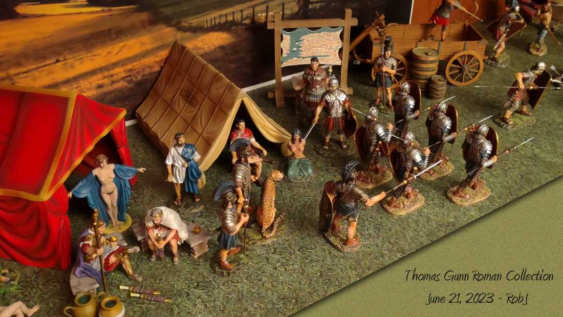 BD04 | Treefrog Treasures