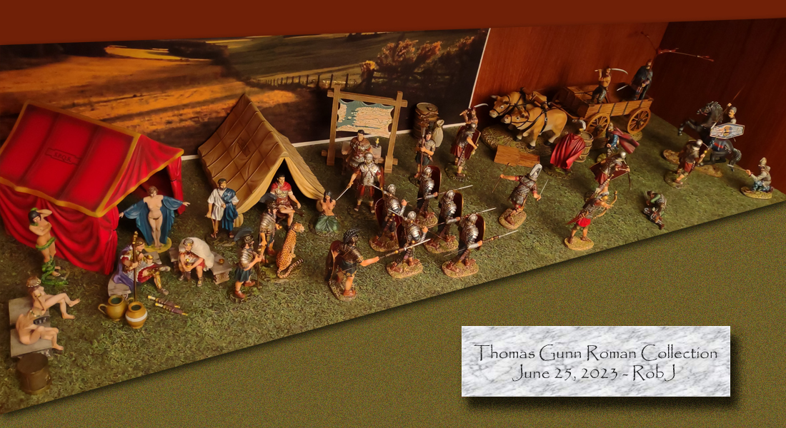 BD06 | Treefrog Treasures