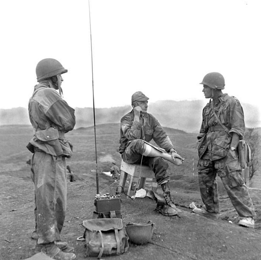 Bigeard1 | Treefrog Treasures