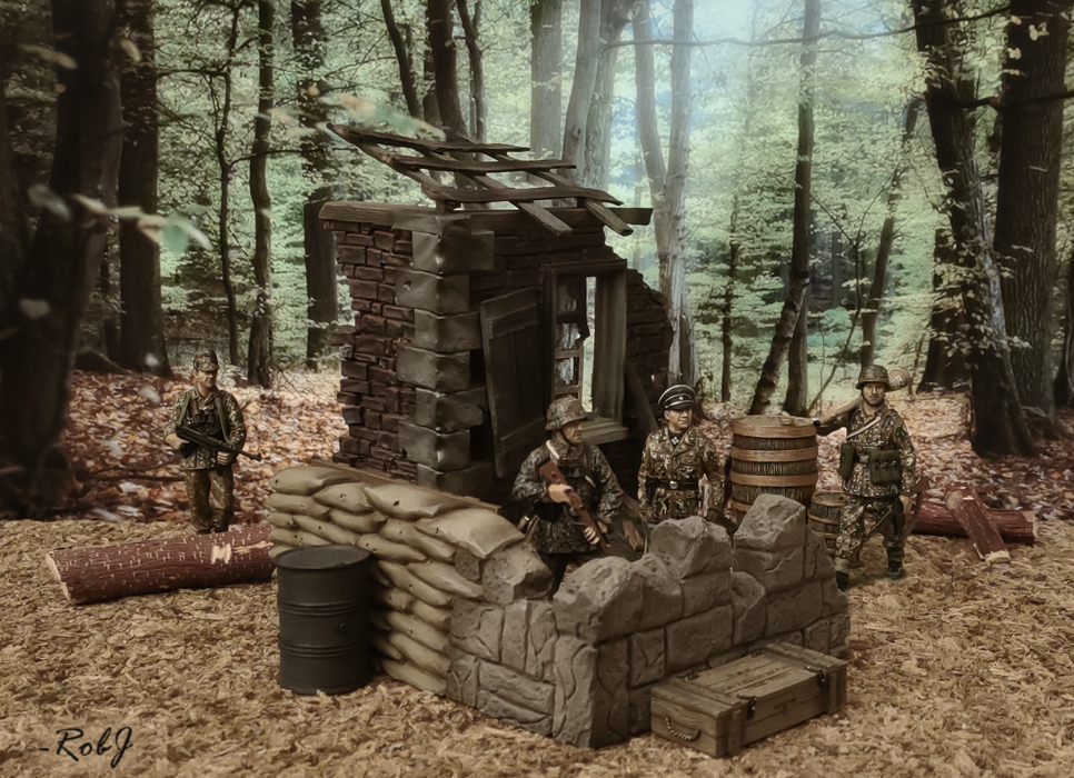 BK02 | Treefrog Treasures