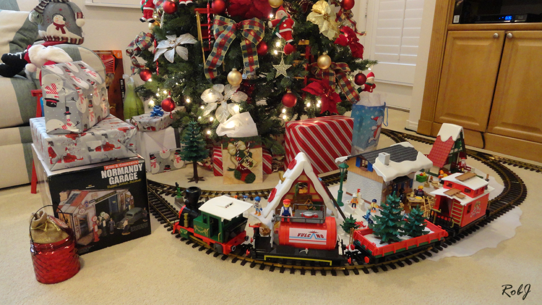 C01 | Treefrog Treasures