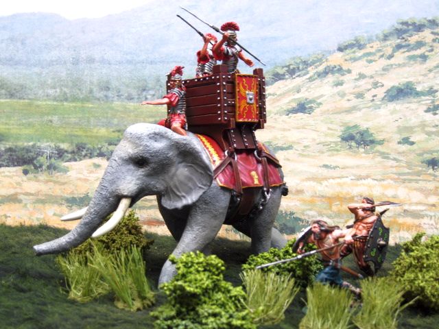 Collectors Showcase | Treefrog Treasures