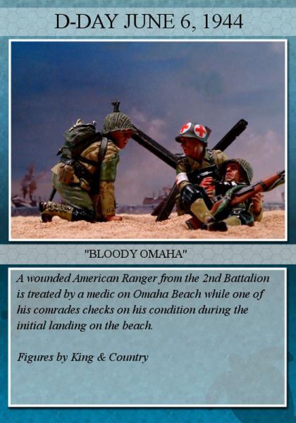 D-Day June 6. 1944: Medic | Treefrog Treasures