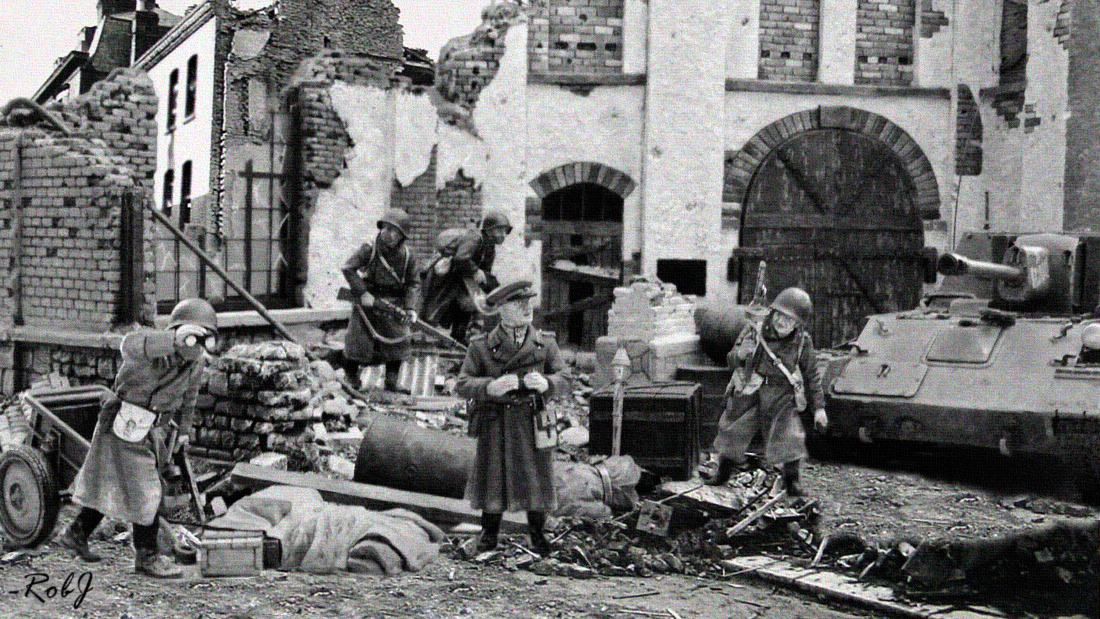 D2 | Treefrog Treasures