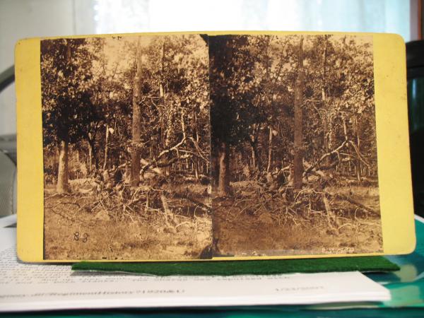 dads pics 005 | Treefrog Treasures