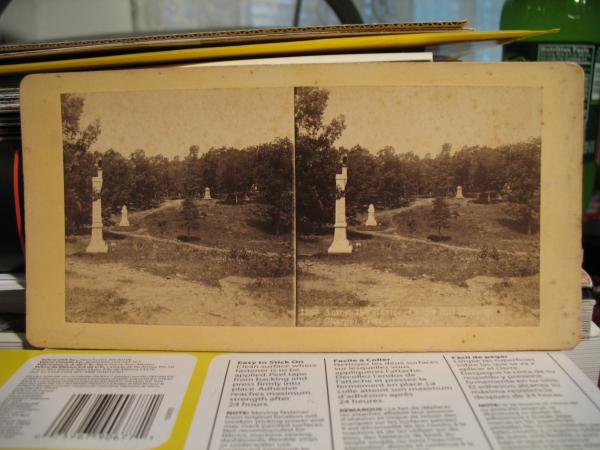 dads pics 010 | Treefrog Treasures