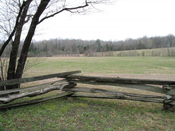 dads pics 114 | Treefrog Treasures