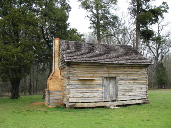 dads pics 126 | Treefrog Treasures