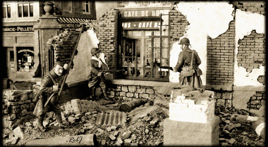 DC01 | Treefrog Treasures