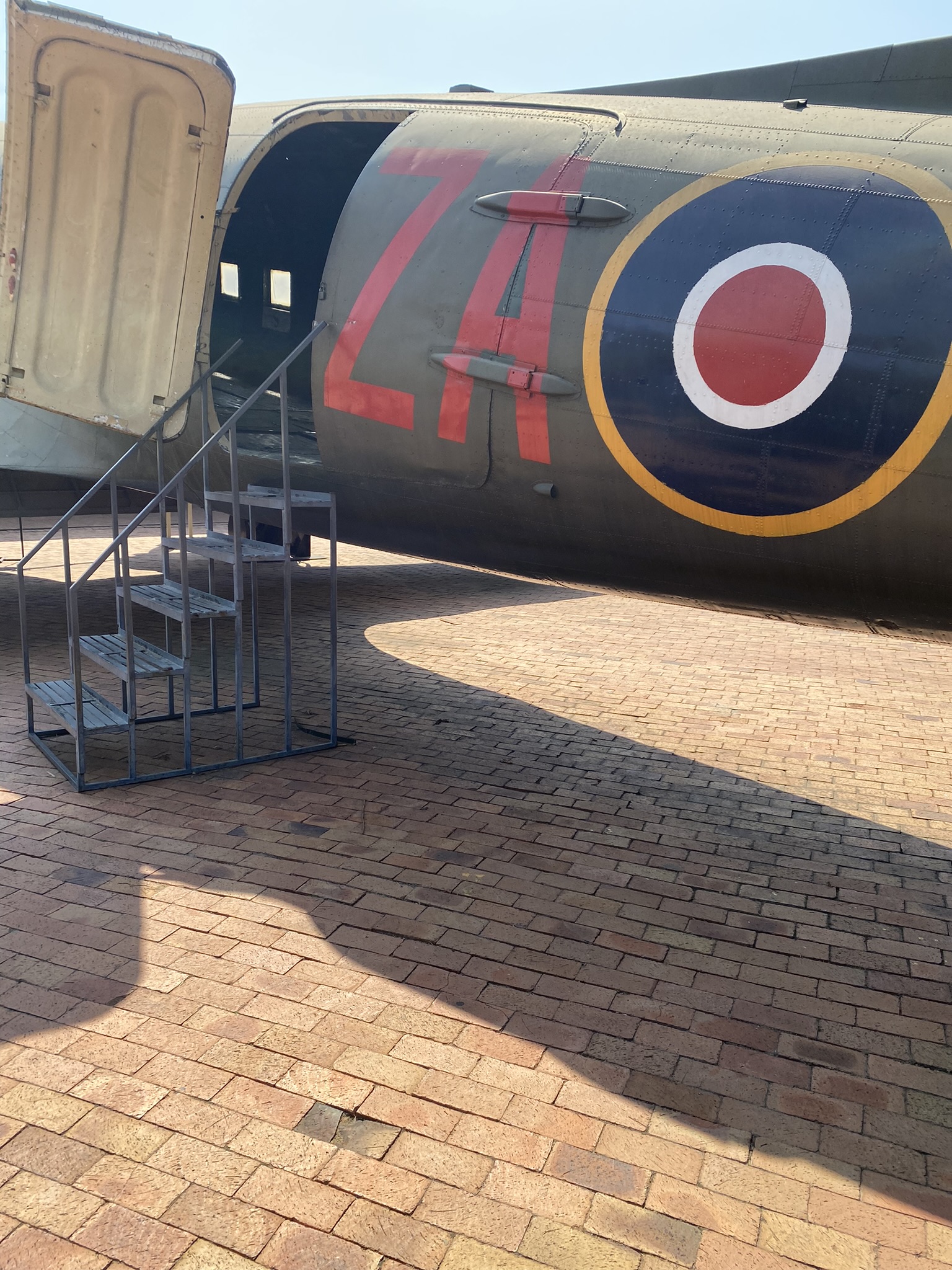 F71AA1F2-FCE9-47CE-BC77-8A2ED3C5ABC8_1_102_o.jpeg | Treefrog Treasures