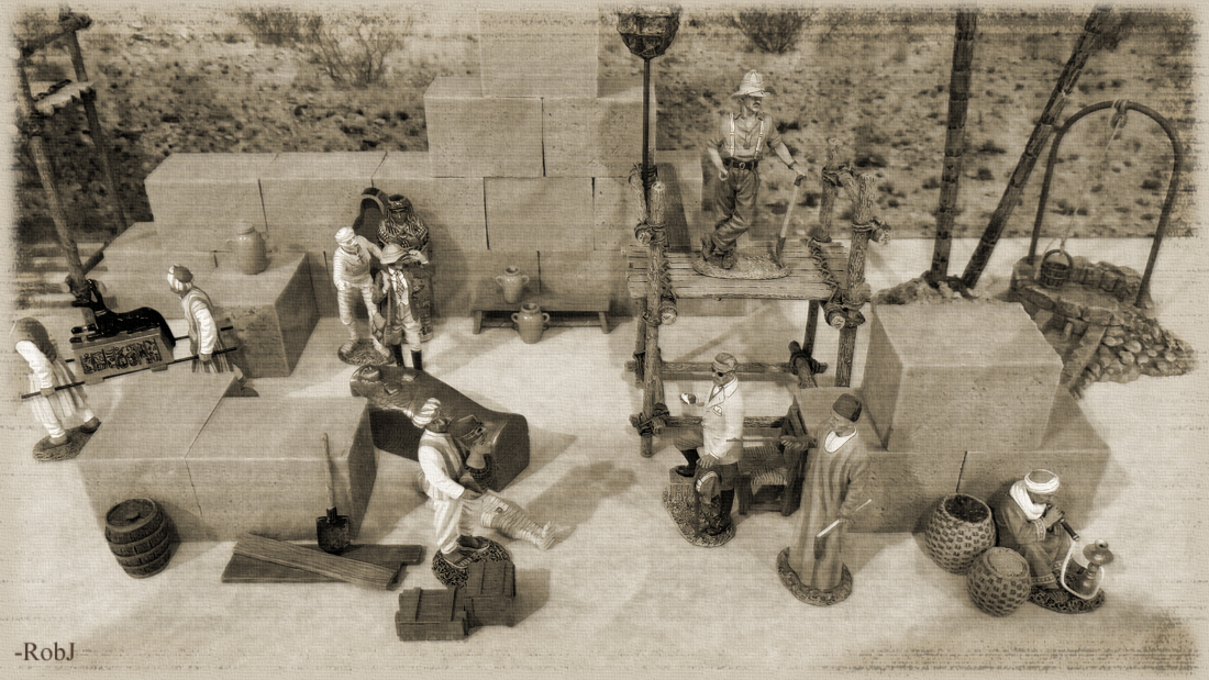 FP04 | Treefrog Treasures