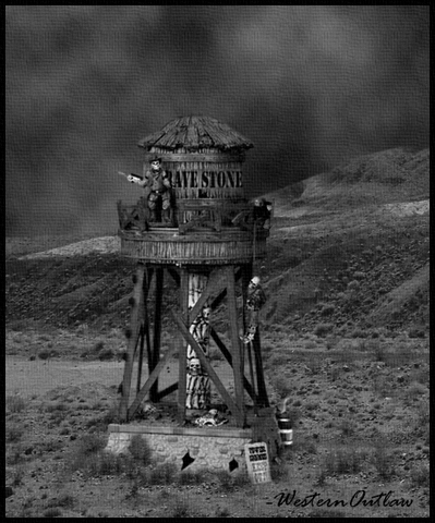 Gs17 Treefrog Treasures