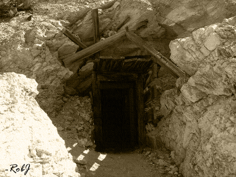 H03 | Treefrog Treasures