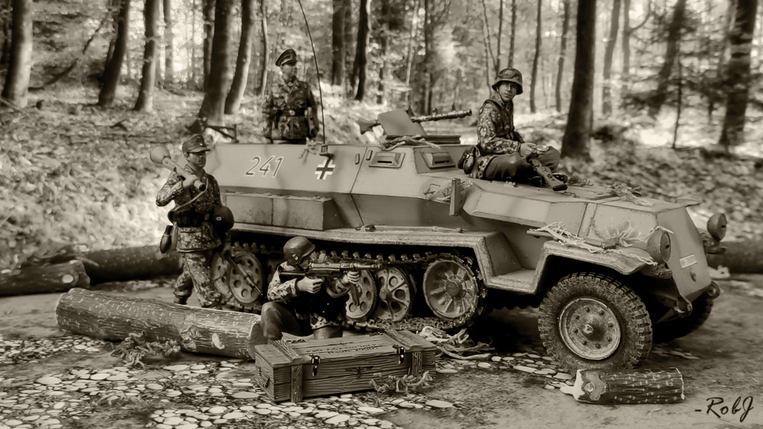 HG03bws | Treefrog Treasures