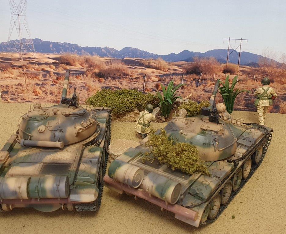 IDF 1 | Treefrog Treasures