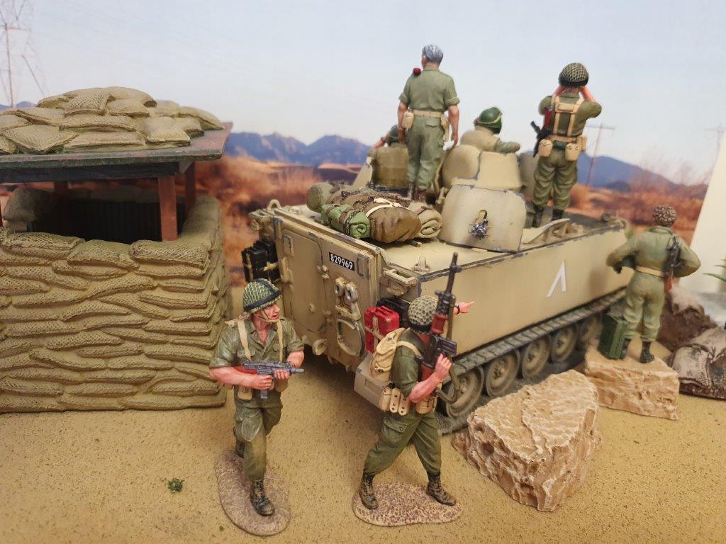 IDF 10 | Treefrog Treasures