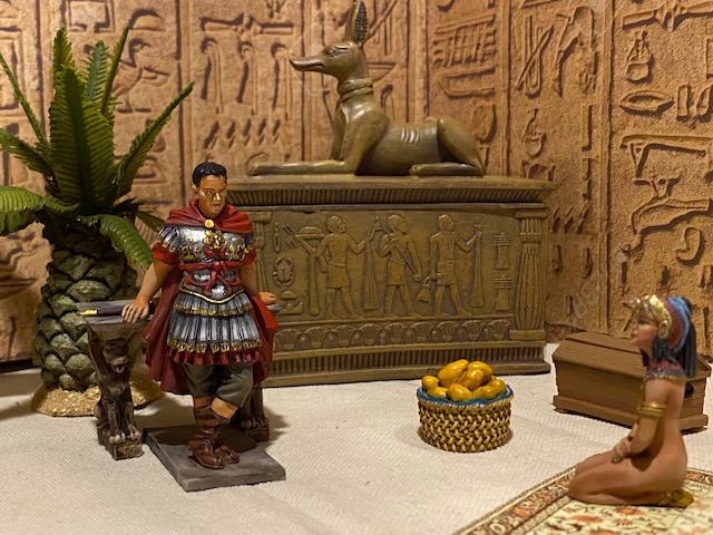 IMG 2064 (1) | Treefrog Treasures