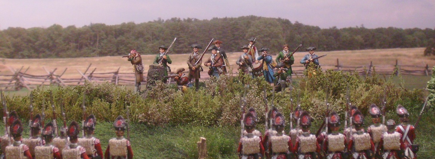 In Defiance to the Crown | Treefrog Treasures