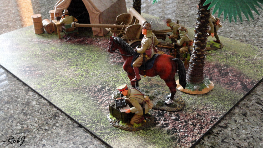 M02 | Treefrog Treasures