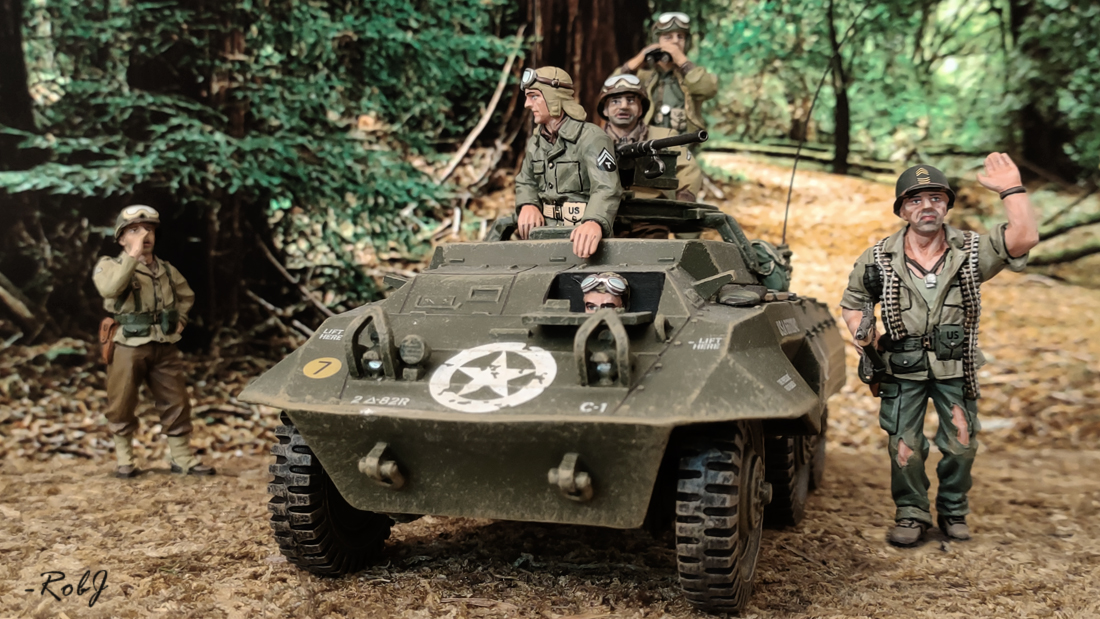 M06 | Treefrog Treasures