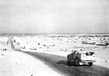 marsa | Treefrog Treasures