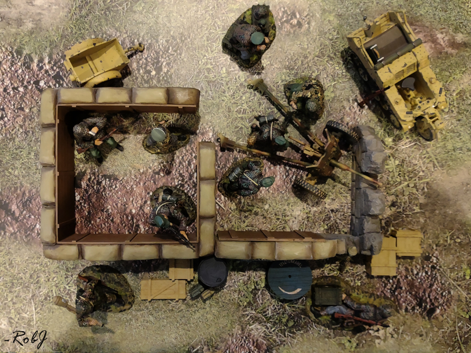 MT01 | Treefrog Treasures