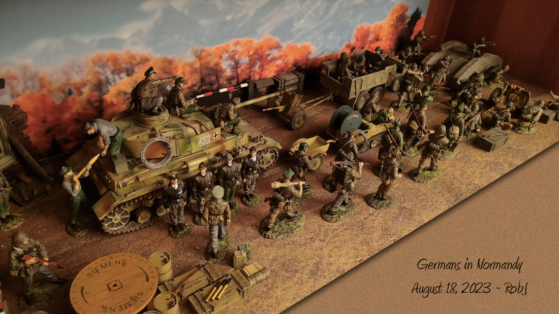 N01 | Treefrog Treasures