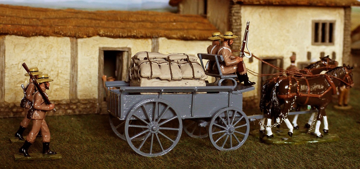 NAVAL BRIGADE BOER WAR | Treefrog Treasures