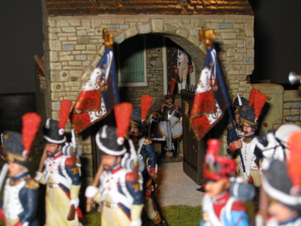 One of Tony Neville's great displays | Treefrog Treasures