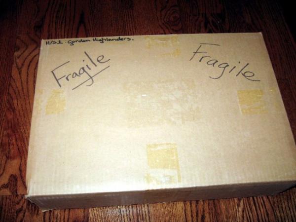Outer Box | Treefrog Treasures