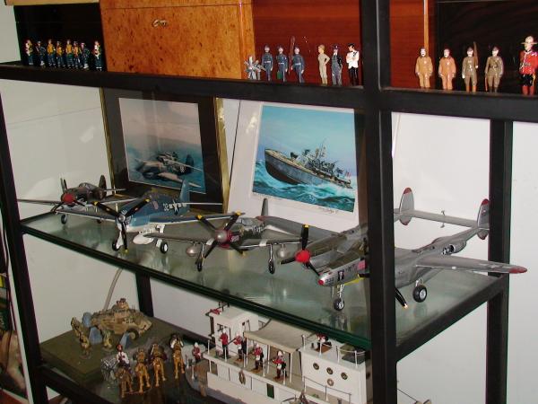 P-40 Warhawk Grumann Hellcat AIR009 P-51 Mustang P-38 Lightning AIR018 | Treefrog Treasures