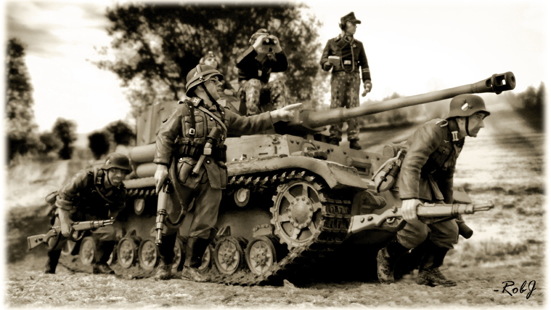 P01 | Treefrog Treasures