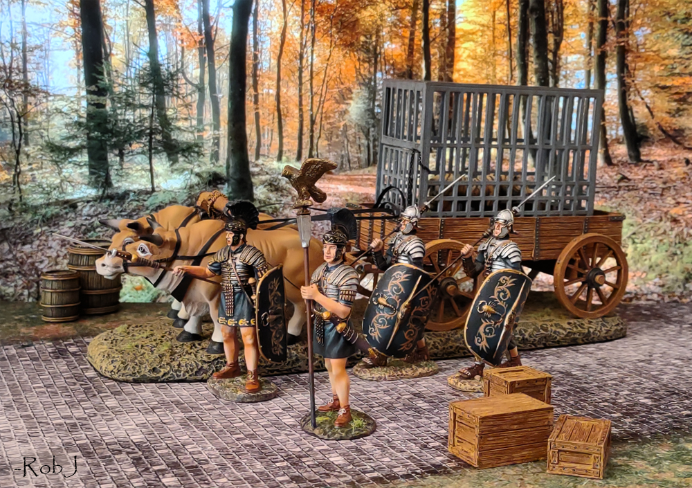 PG02 | Treefrog Treasures