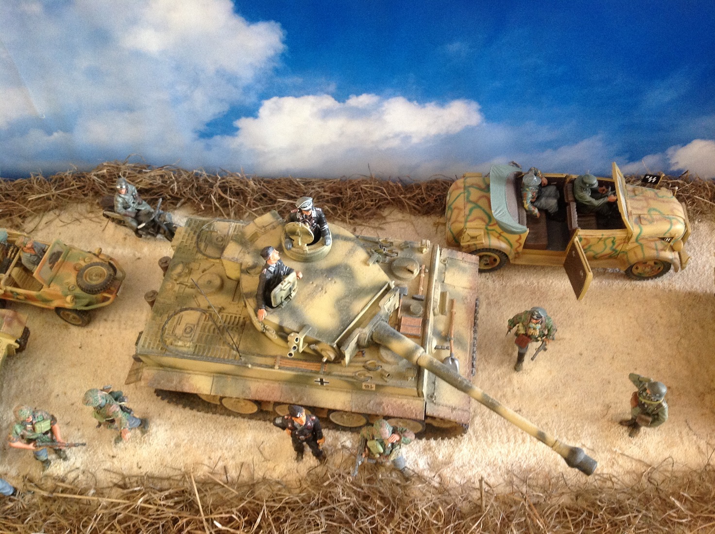 photo(18) | Treefrog Treasures