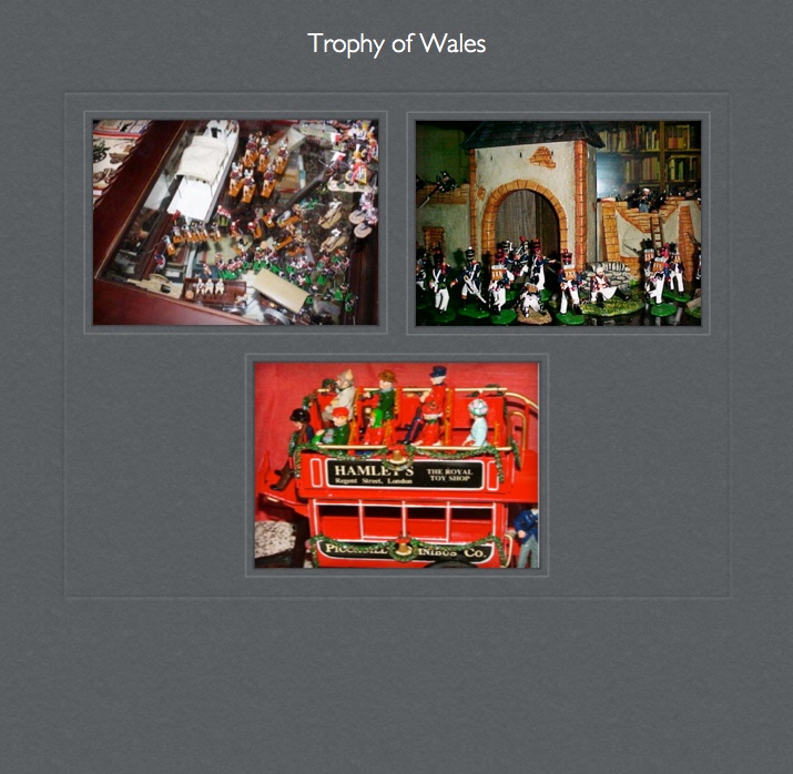 PhotosfromTrophypuics 4 | Treefrog Treasures